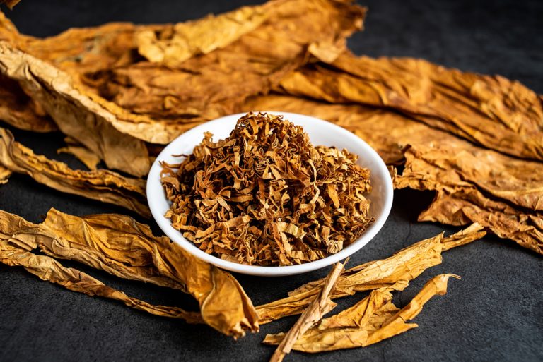 What is FCV Tobacco and Why is It So Popular?